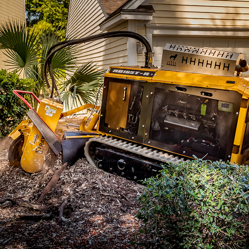 RAYCO RG165T-R Stump Grinder | Stevens Group
